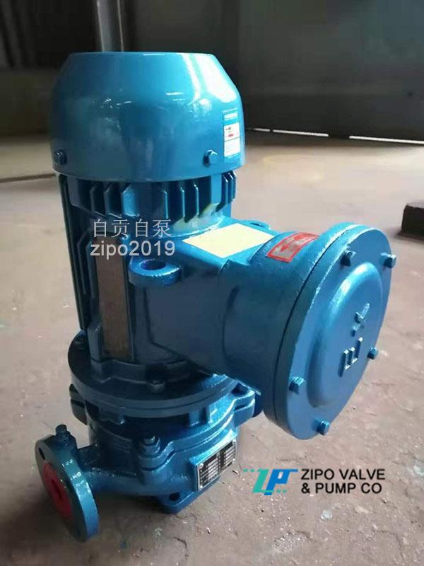 ZISG vertical pipeline centrifugal pump - ZP03 - ZP (China Manufacturer ...