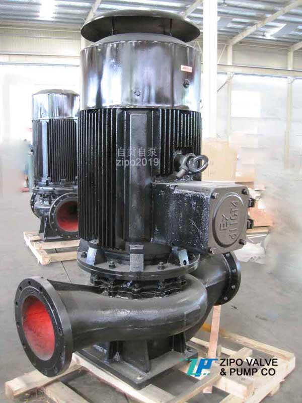 ZISG vertical pipeline centrifugal pump - ZP03 - ZP (China Manufacturer ...