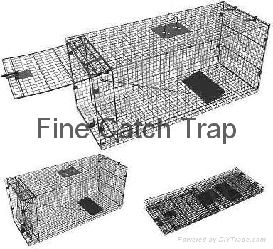 Collapsible Live Capture Trap - Possum Trap - China - Manufacturer