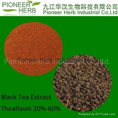 Theaflavins theaflavin - theaflavins - pioneer herb (China Manufacturer ...