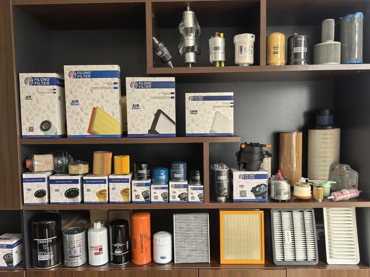 Filong Fuel Filter Factory in China MB220900 23303-64010 8-94448984-0