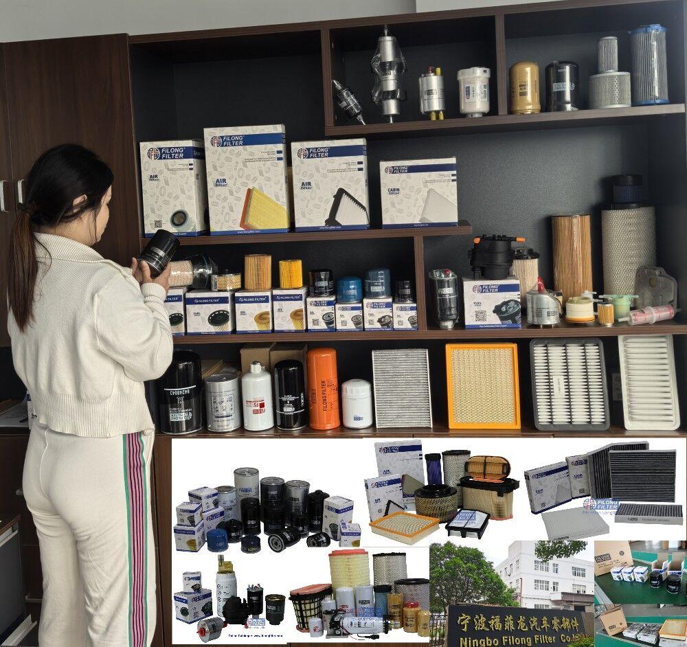 Filong Manufacture AIR FILTER 2843061+2843059 for -SCANIA - China