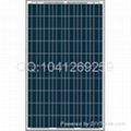 220-235W Polycrystalline solar pv module - Neutral (China Manufacturer ...