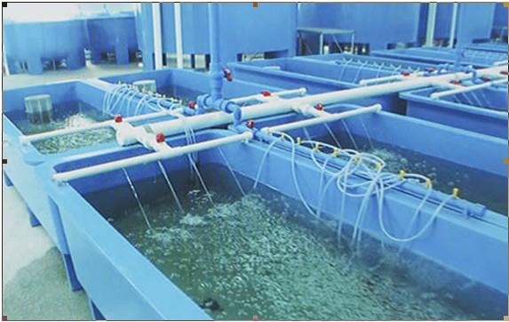 pp/fiberglass fish tank - usesun (China Manufacturer) - Animal ...