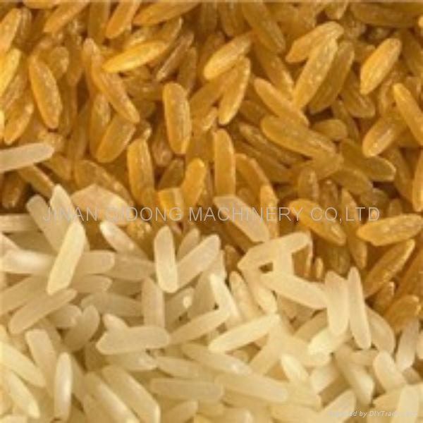 Artificial Rice Processing Line - SPH-65 - QIDONG (China Manufacturer ...