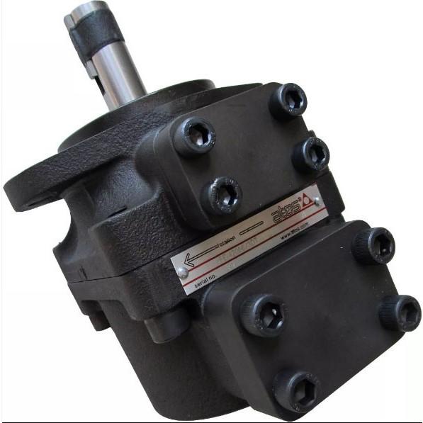 Atos PFG,PFC,PFE,PFED,PFEX,PVL Hydraulic Pump - Atos pump (China ...