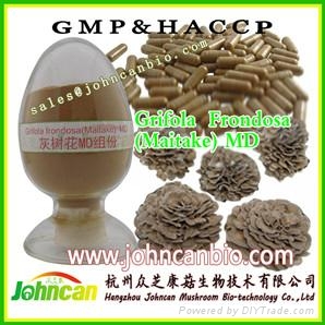 Maitake MD Powder - JC140802 - Johncan (China Manufacturer) - Other ...