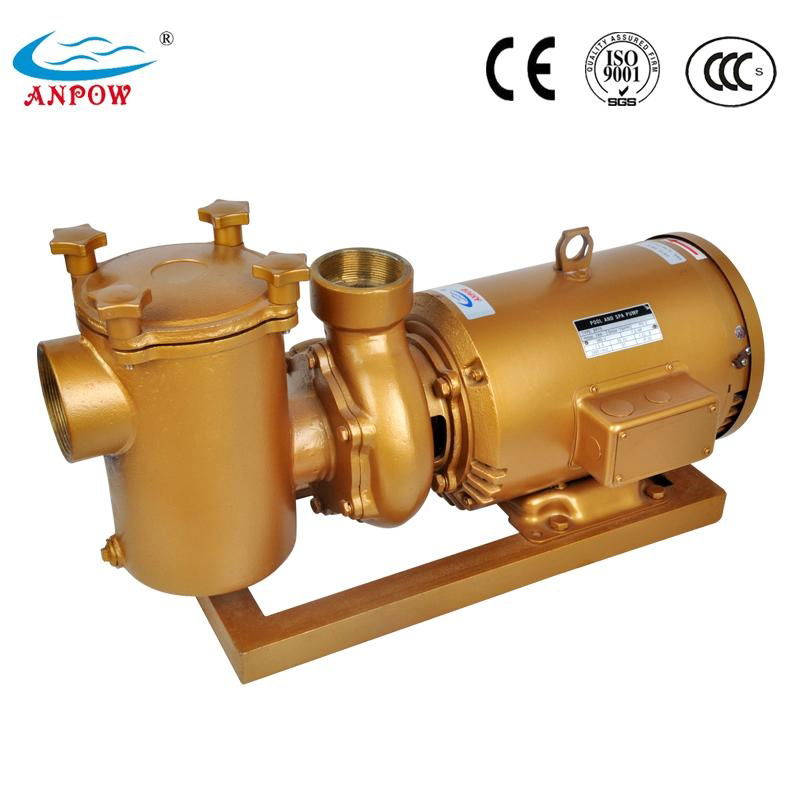High Flow Rate Bronze Electirc Water Pumps - BP30 - Anpow (China ...