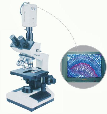 XSZ--N107CCD biological microscope (China Manufacturer) - Optical Lens ...