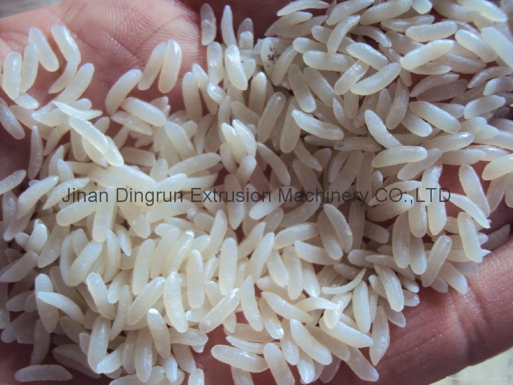 Artificial rice - Alchetron, The Free Social Encyclopedia
