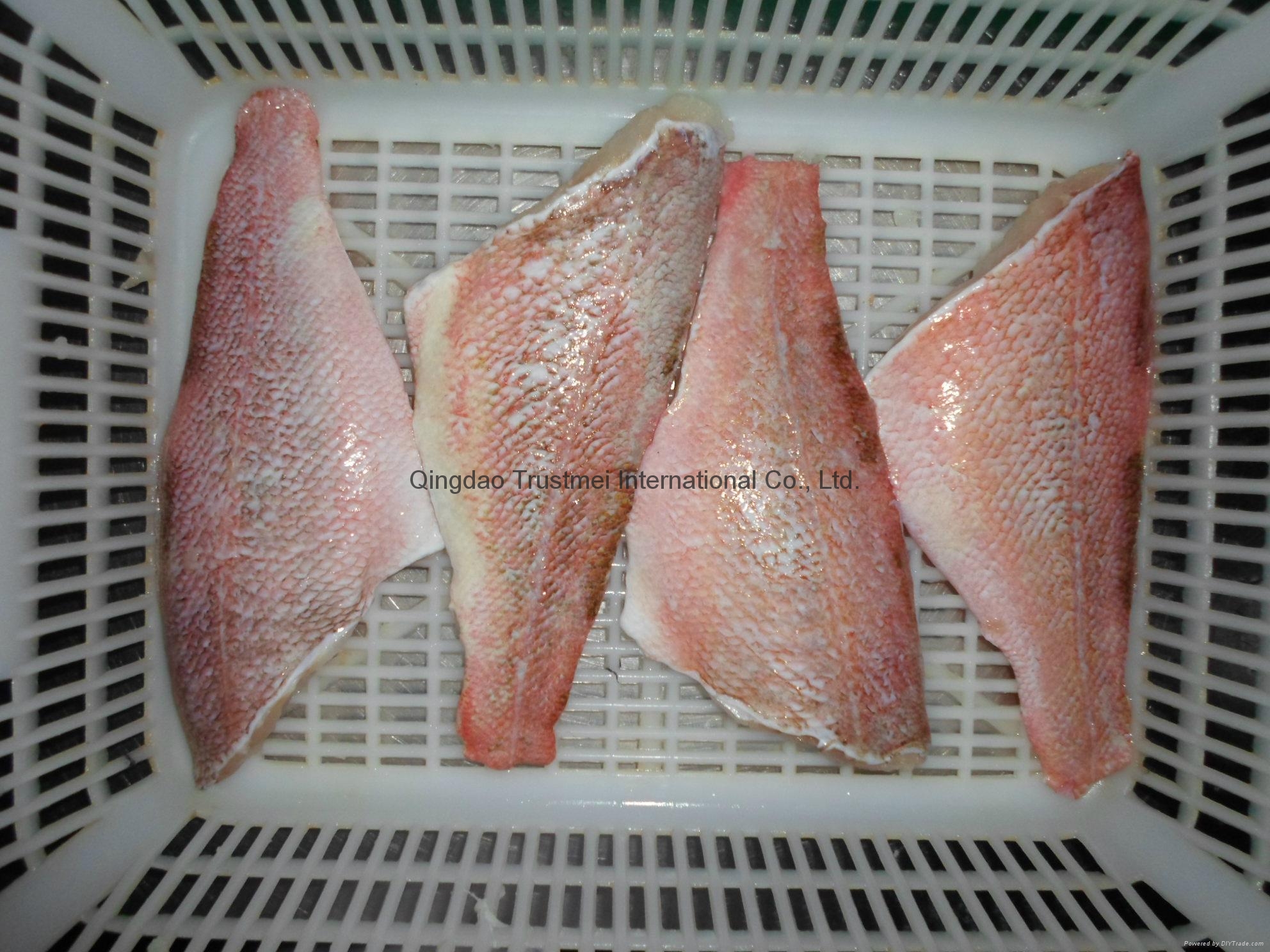 Redfish Atlantic redfish Pacific ocean perch IQF (China Trading Company ...