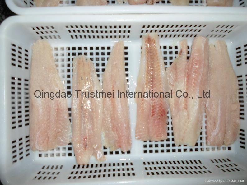 Hake Merluccius productus, or Merluccius hubbsi (China Trading Company ...