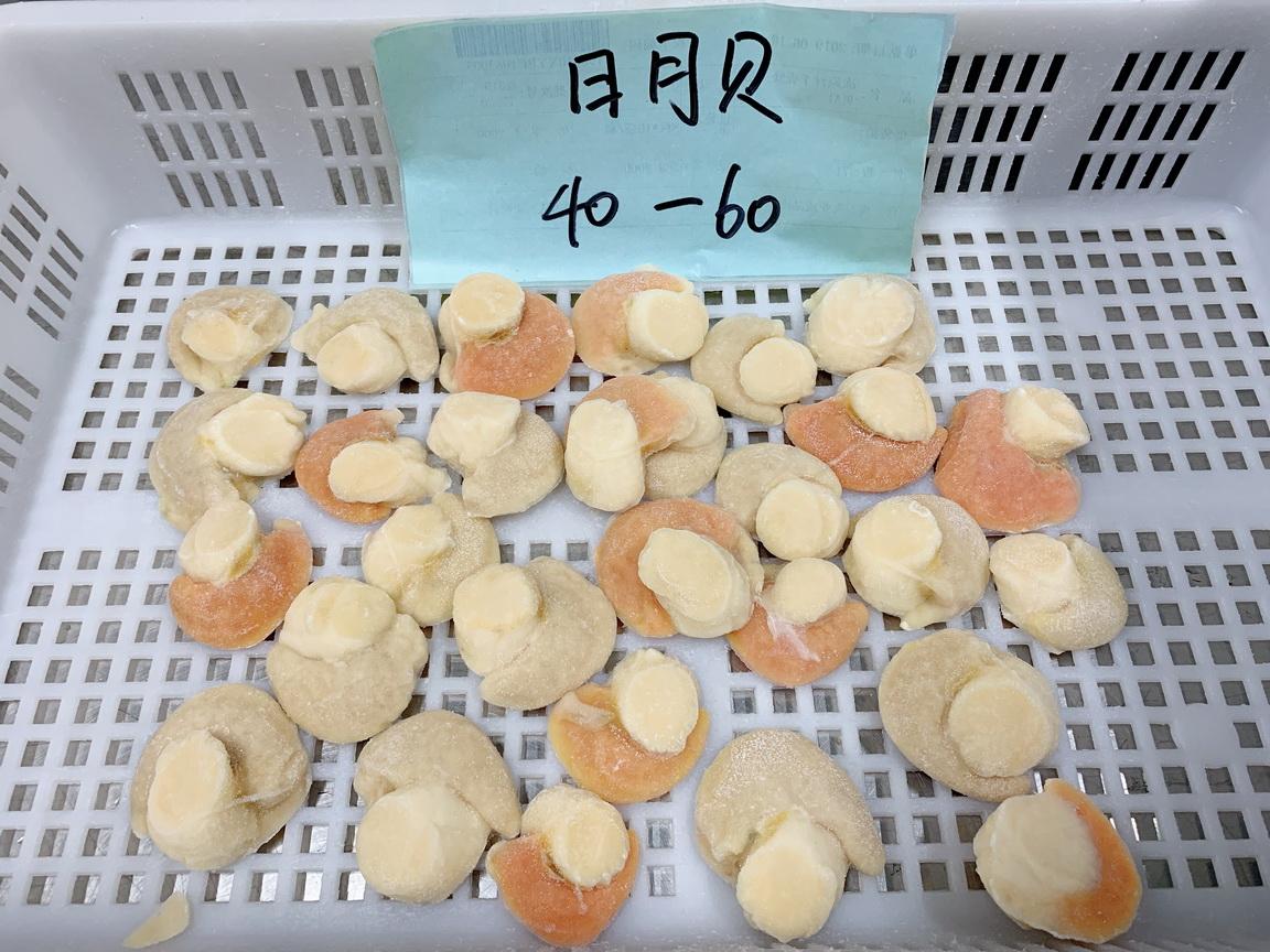 Scallop meat roe on, roe off - China
