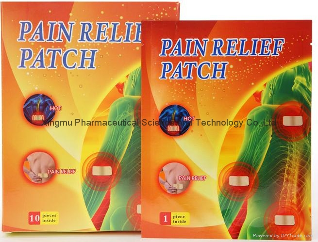 Pain Relief Patch for 8 Hours with Chinese Traditional Meidicine ...