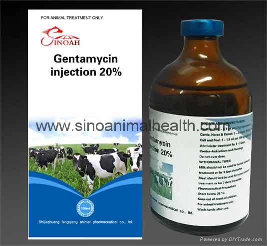 Gentamycin injection 20% (China Manufacturer) - Veterinary Medicine ...
