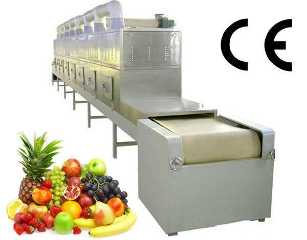 Fruit&Vegetable microwave dryer equipment-Microwave tunnel type dryer ...
