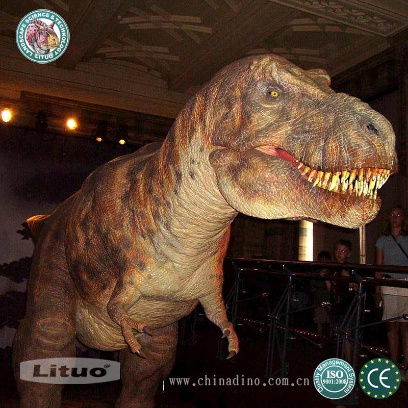 Animatronics Dinosaur Life Size Animal Model - LT-GD-BWL-H02 - LT ...