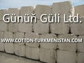 Gin Motes (Turkmenistan Trading Company) - Natural Textile Materials ...