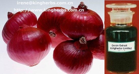 Pure natural Onion Extract / Allium Cepa Extract 10% quercetin - CAS ...