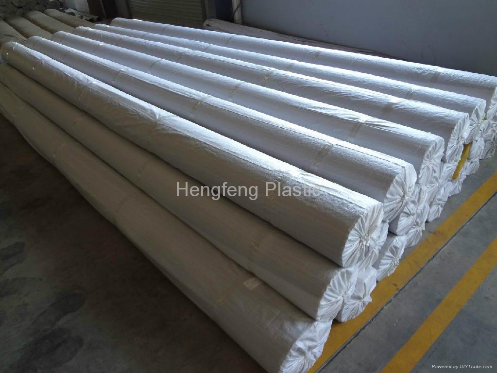 Polyester Geogrid with pvc coating - PETG-80-80 - Hengfeng (China ...
