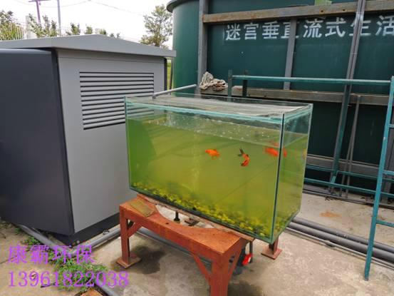 康霸LVF小型生活污水处理设备 - LVF-WDL-50 (中国 江苏省 生产商) - 污水处理设备 - 环保设备 产品 「自助贸易」