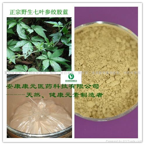 Gynostemma Extract - Ankang Health Element Pharmtech Co. Ltd. (China Manufacturer) - Plant ...