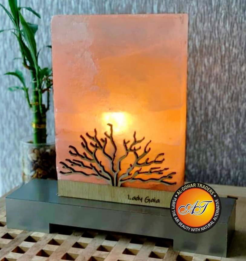 3d Salt Plates - 3d Plates - AGT Hamdani Salt (Pakistan Manufacturer ...