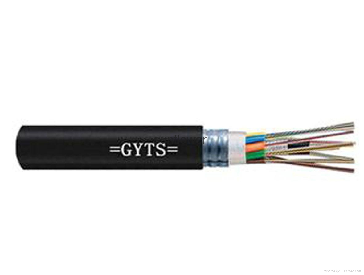 Fiber Optic Cable - DTS-1008 - ZZT, DATASAI or customized (China ...