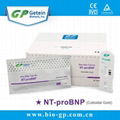 nt-probnp rapid test kits - GP (China Manufacturer) - Chemical Lab ...