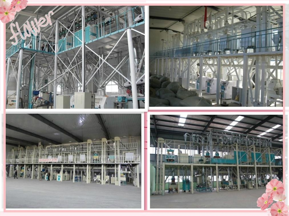 wheat/corn deep processing equipment - ZZY - Zhong Zhi Yuan (China ...