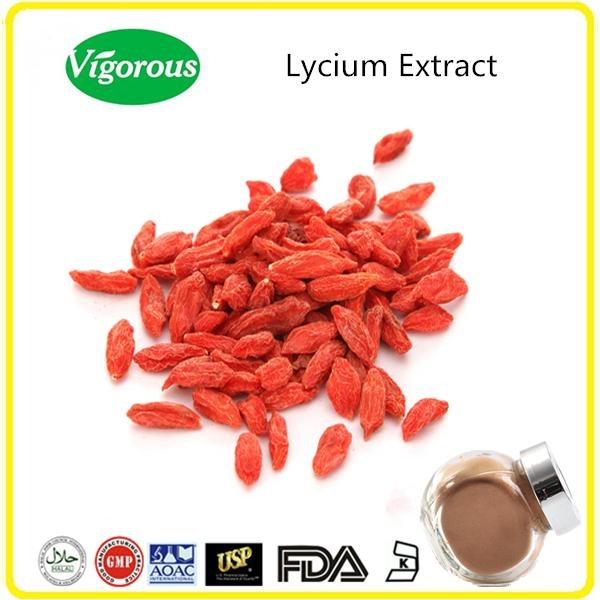 Dried Goji Berry Extract powder - Cnvigoroustech (China Manufacturer ...