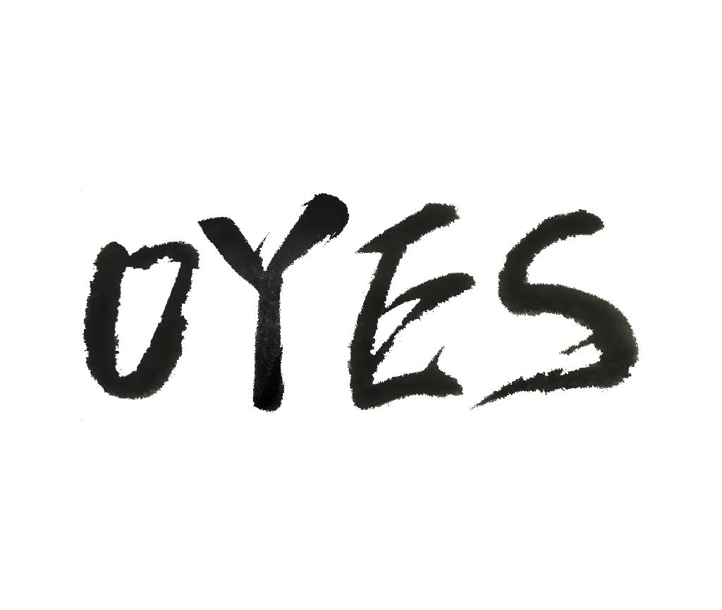 OYES Co., Ltd. (China Manufacturer) - Company Profile