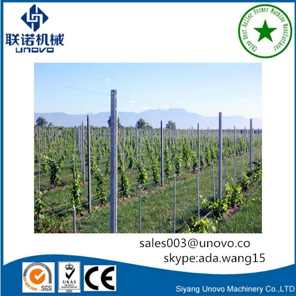 steel vineyard trellis post - PT53 - UNOVO (China Manufacturer) - Other ...