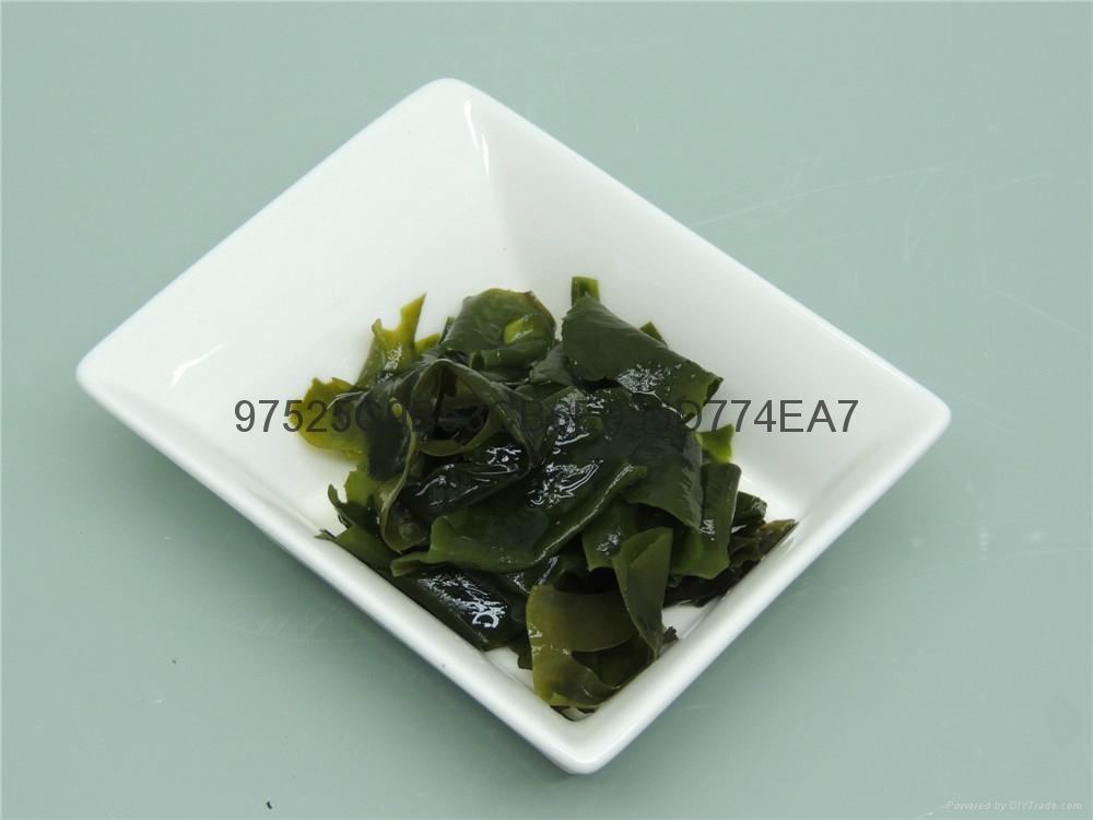 cut wakame - 8kg - sanyou (China Manufacturer) - Other Agricultural ...