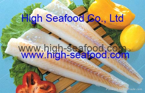 Frozen APO fillets - Alaska Pollock - Alaska Pollock Fillet (China ...