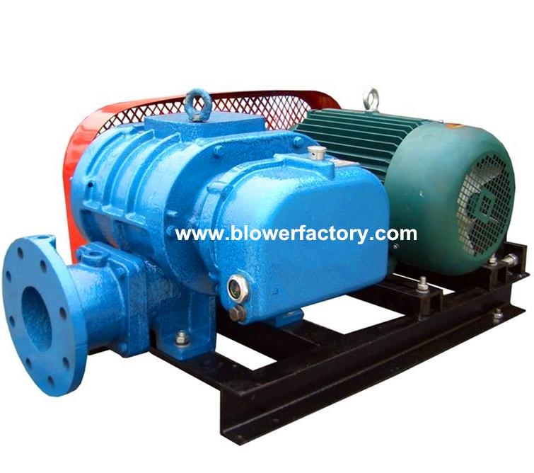Roots Vacuum Pump - Roots Vacuum - Roots Vacuum Pump (China ...