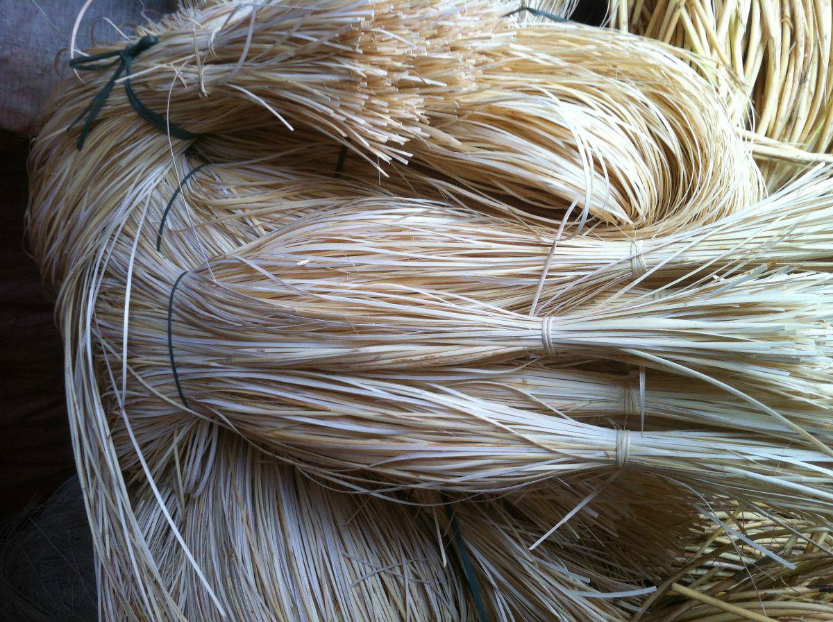 RAW RATTAN FROM VIET NAM - JNN - vdelta (Vietnam Trading Company ...