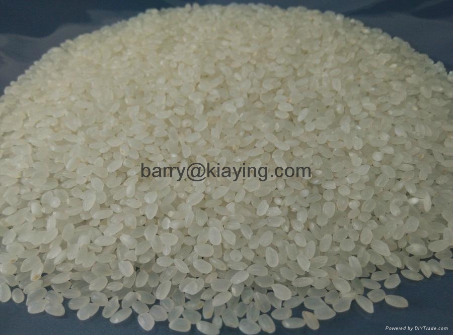 vietnamese short round rice - japonica rice - Vietnam rice (China ...