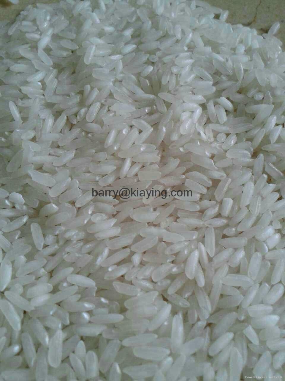vietnamese long grain white rice - 504 - vietnam rice (China Trading ...