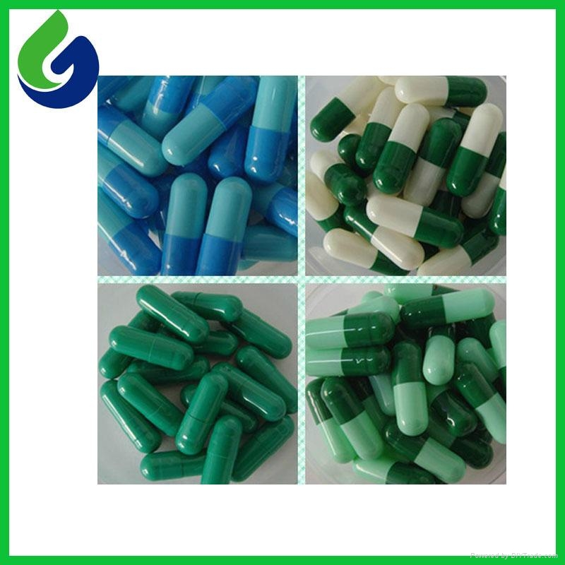 Veggie Empty Capsule Shell - 00# 0# 1# 2# 3# - HUAJIA (China ...