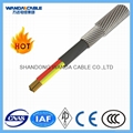 Three-core Logging Cable - WANQUAN (China Manufacturer) - Electric Wire ...