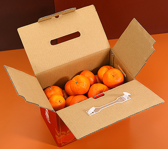 Fruit packaging box with handle - 99-FB-2105 (China Manufacturer ...