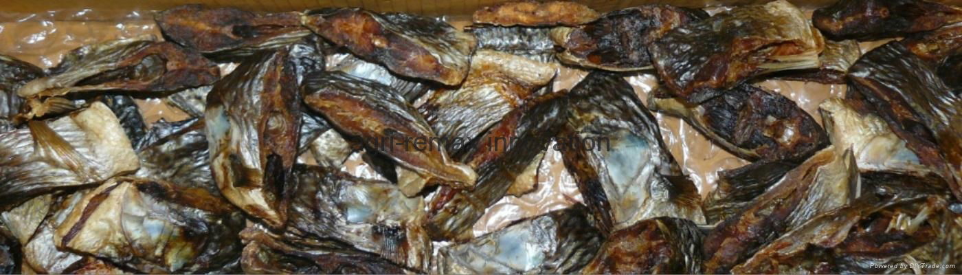 Quality Cod StockFish / dried StockFish For Sale - Agrirema (South ...