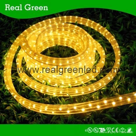 220V Flat Yellow LED Rope Light - RG-F3-Y - RG (China Manufacturer ...