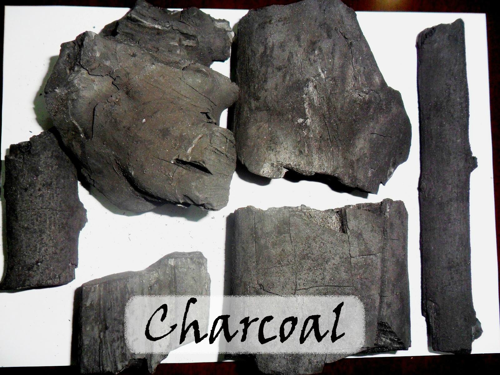 Charcoal (Egypt Trading Company) - Coal & Charcoal Products - Energy ...