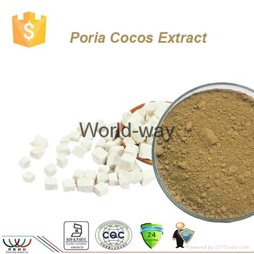 poria cocos extract - Poria cocos ext - World-way (China Manufacturer ...