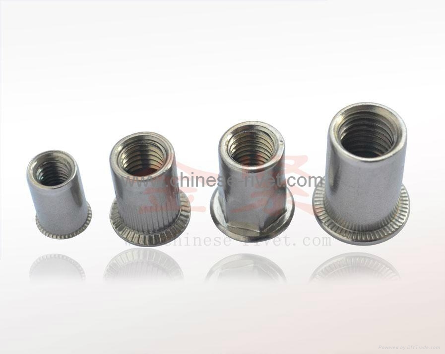 Stainless Steel Threaded Insert Rivet Nut - JJINBB - King Fastening ...