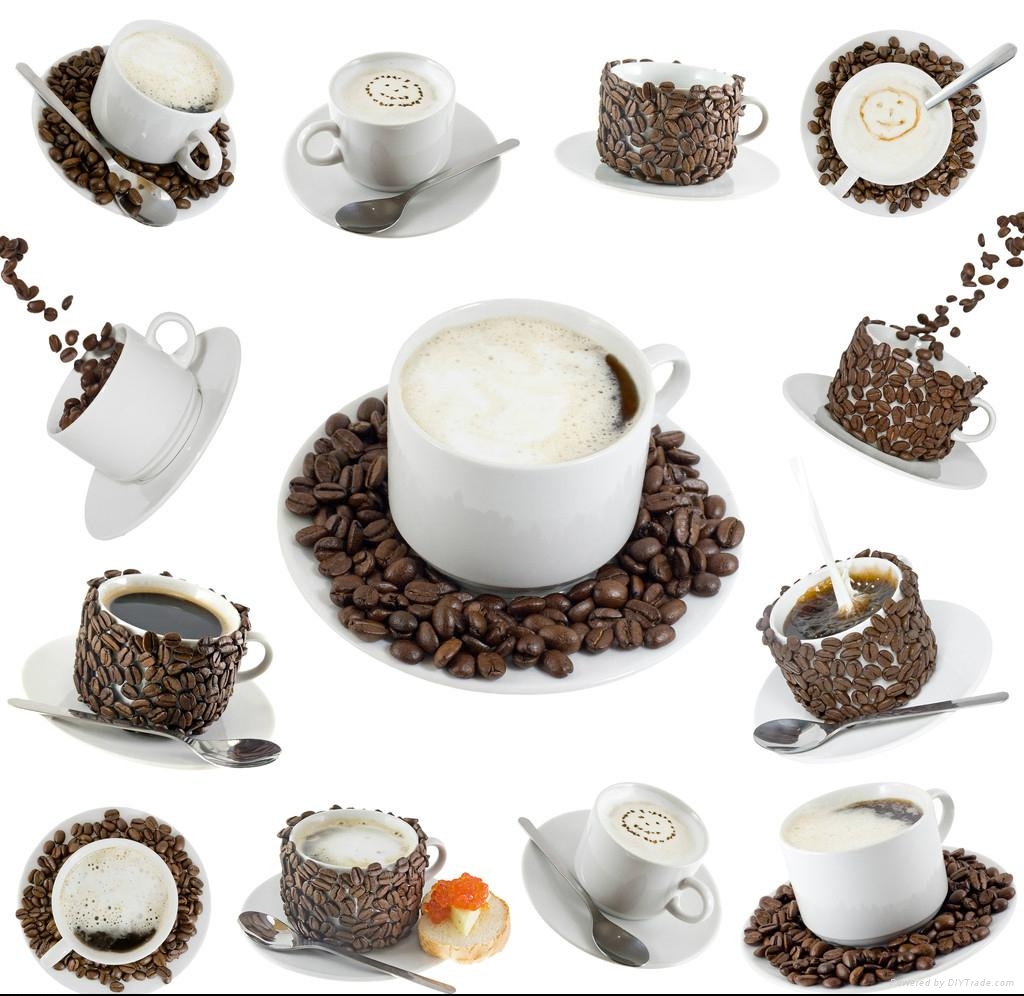 E491-Span60(Sorbitan Monostearate SMS food additives) - GY-005 - GY ...