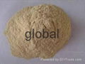 80 mesh size powder (Germany Trading Company) - Wind Power - New Energy ...