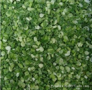 Frozen Cut Spring Onion - QC-R4 - customer's logo accepted (China ...